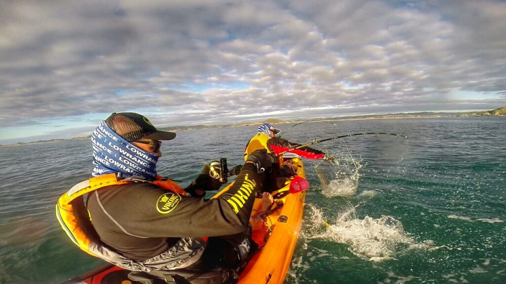 Viking Kayaks - Tempo 2 - Specialised Double Fishing Kayak