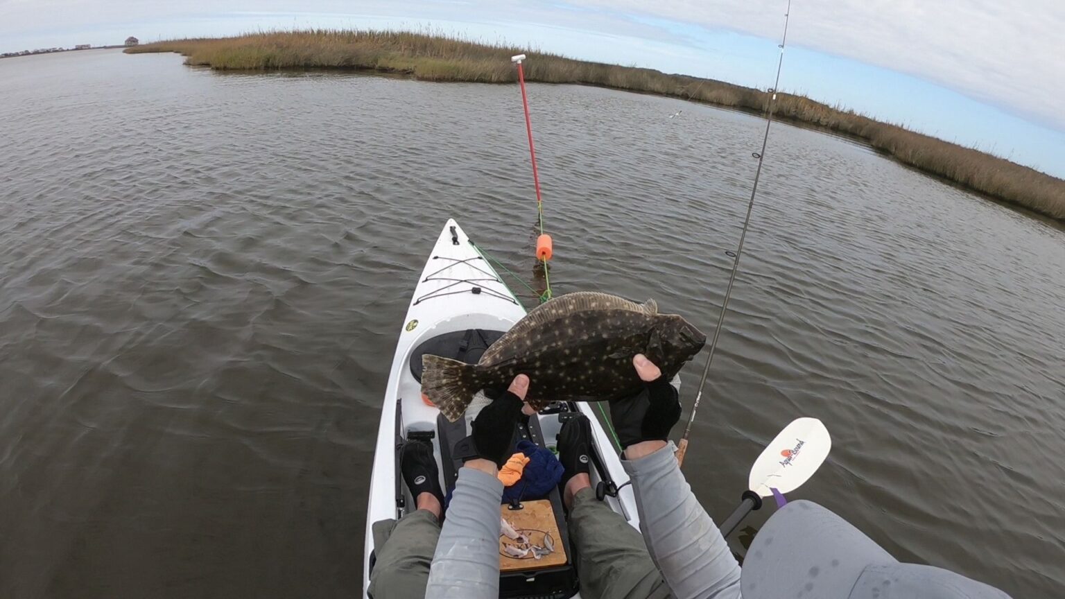 Profish Reload Review - Alan Howell - Viking Kayaks